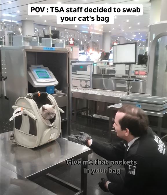 What is a TSA approved pet carrier? - CebuImage